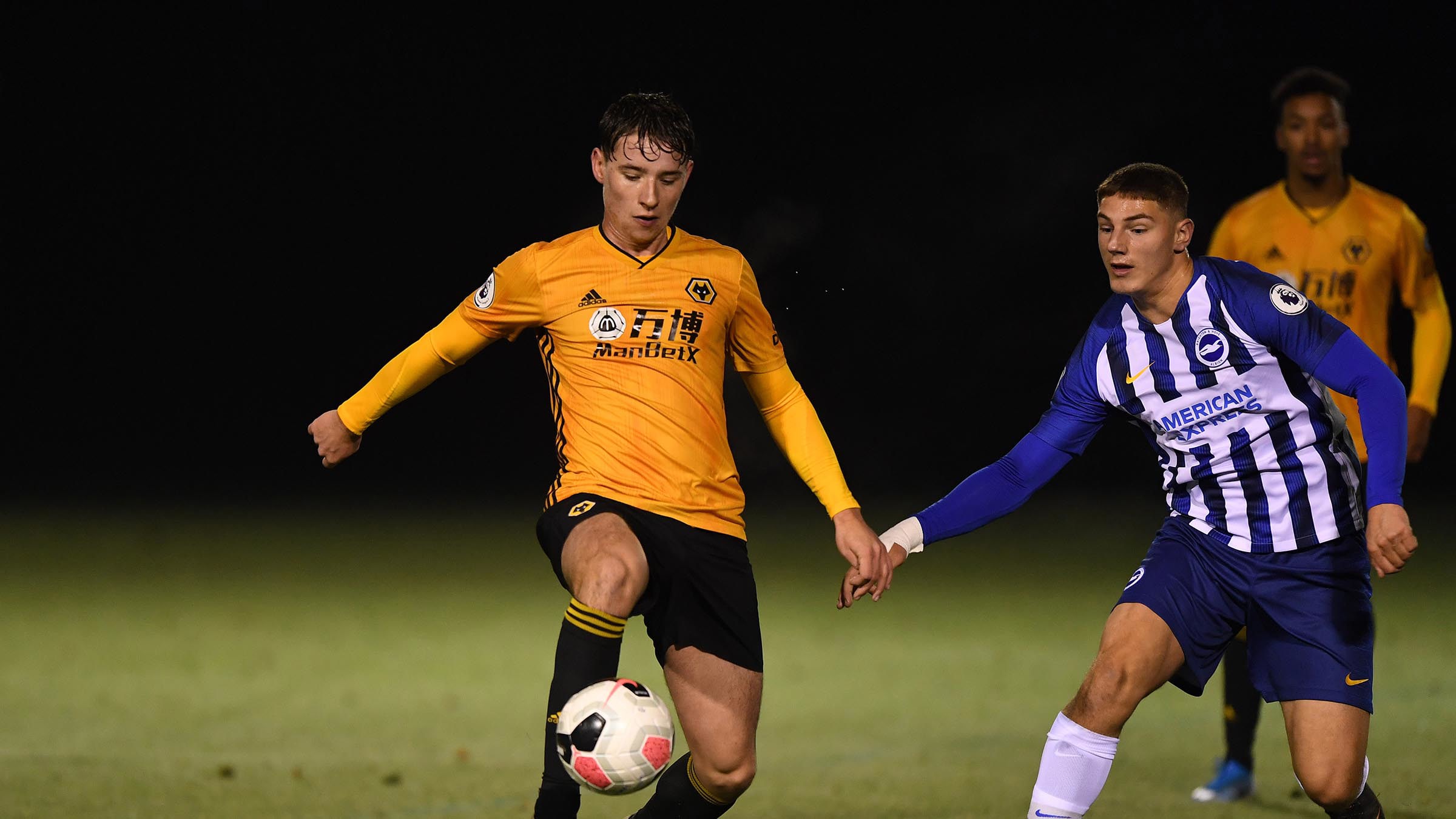 Taylor developing game by game with Wolves | Under-21 | News ...