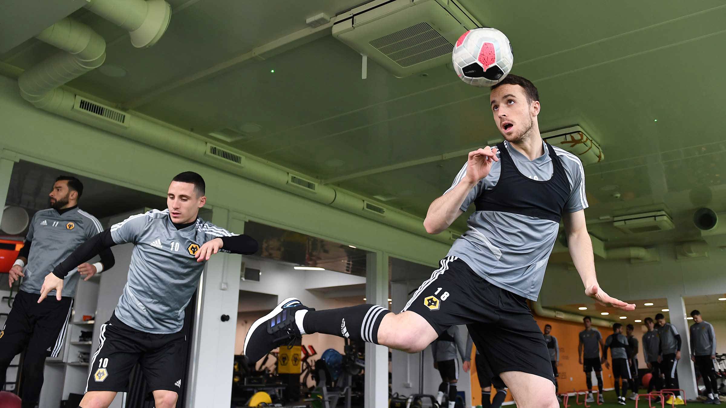 Wolves vs Brighton | Training gallery | Men's First-Team | News ...