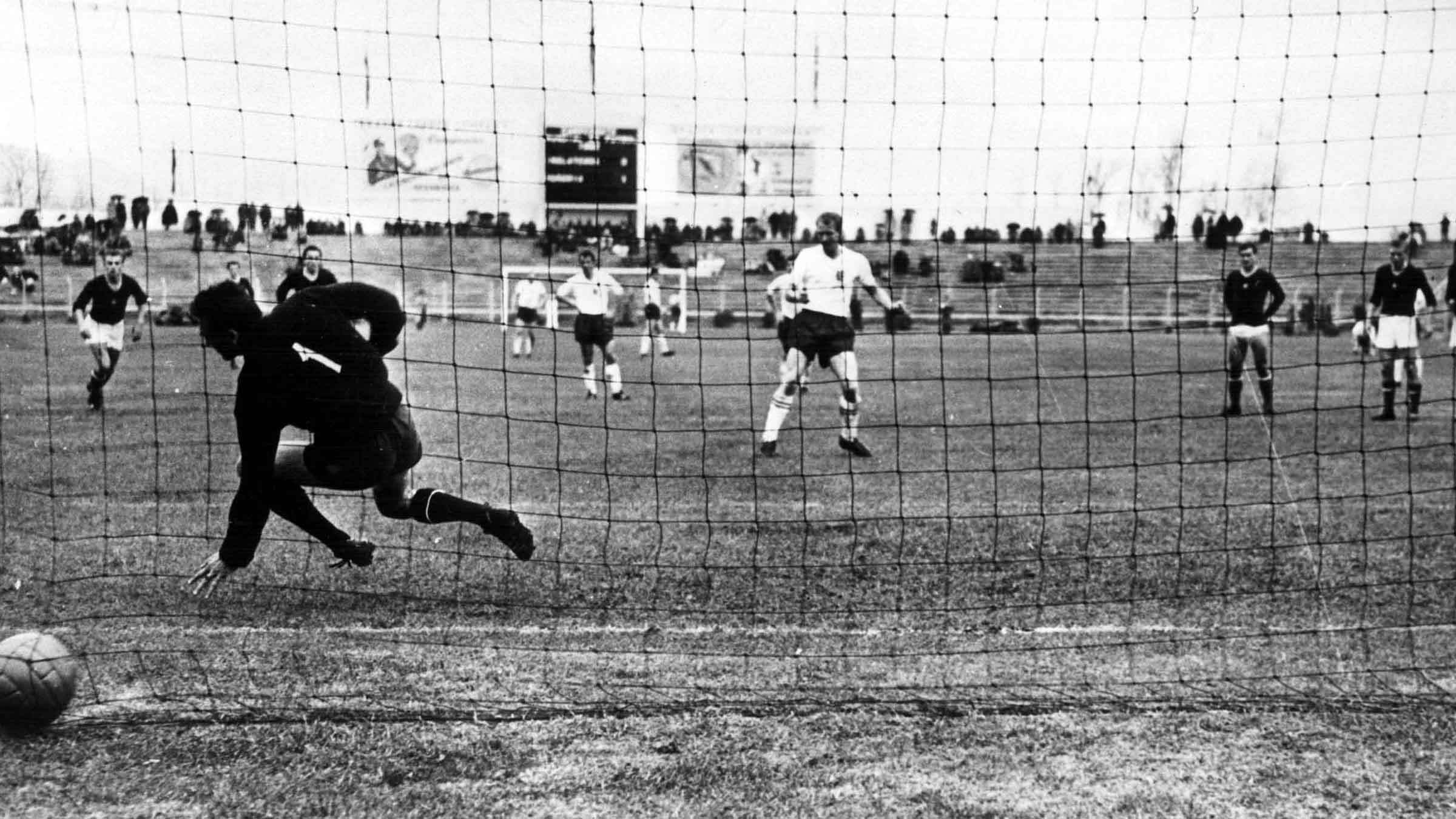 Long read | Wolves smashing tournament record this summer | Features ...