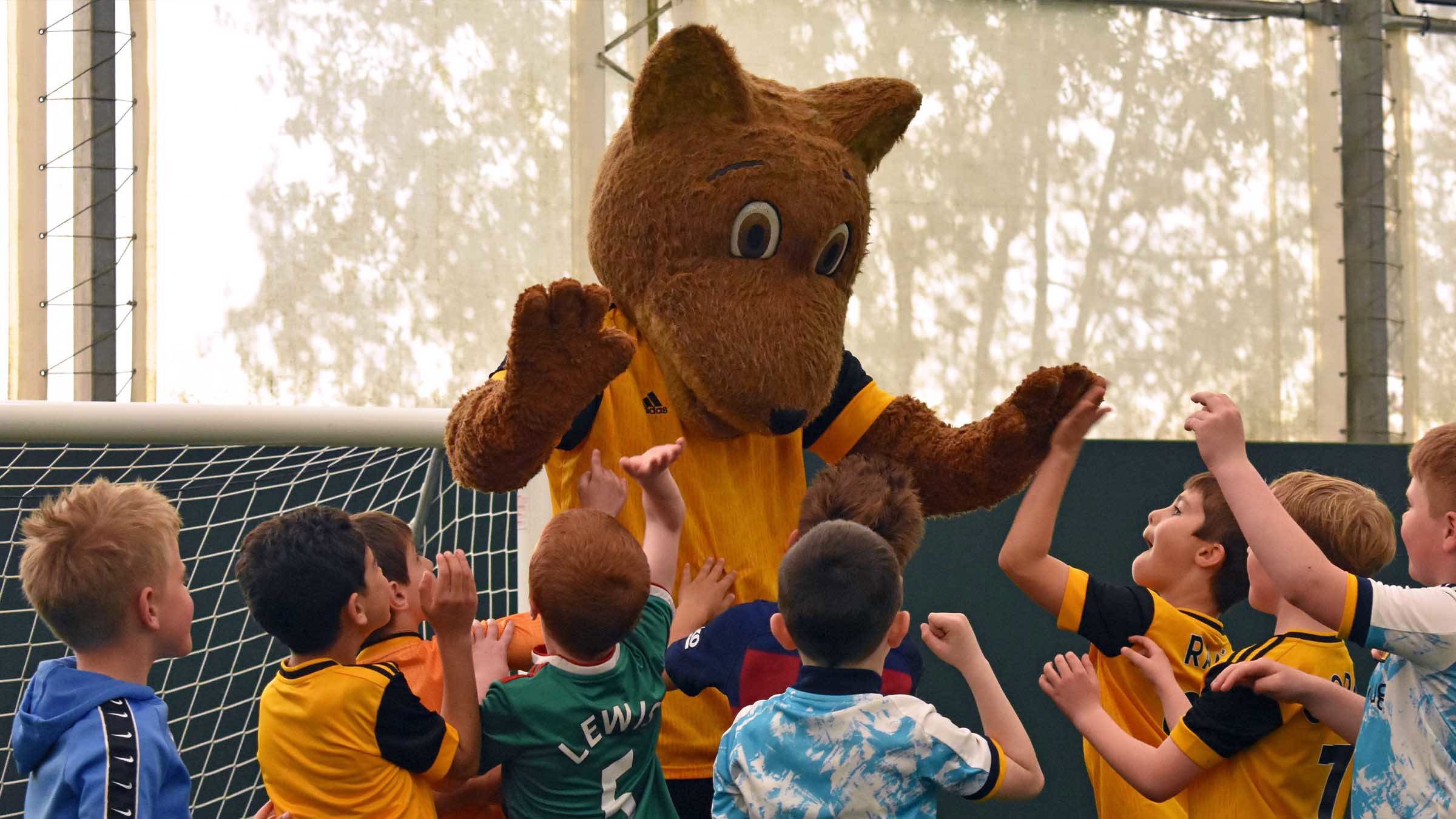 Win a week's place at a Wolves Soccer School | Foundation | News ...