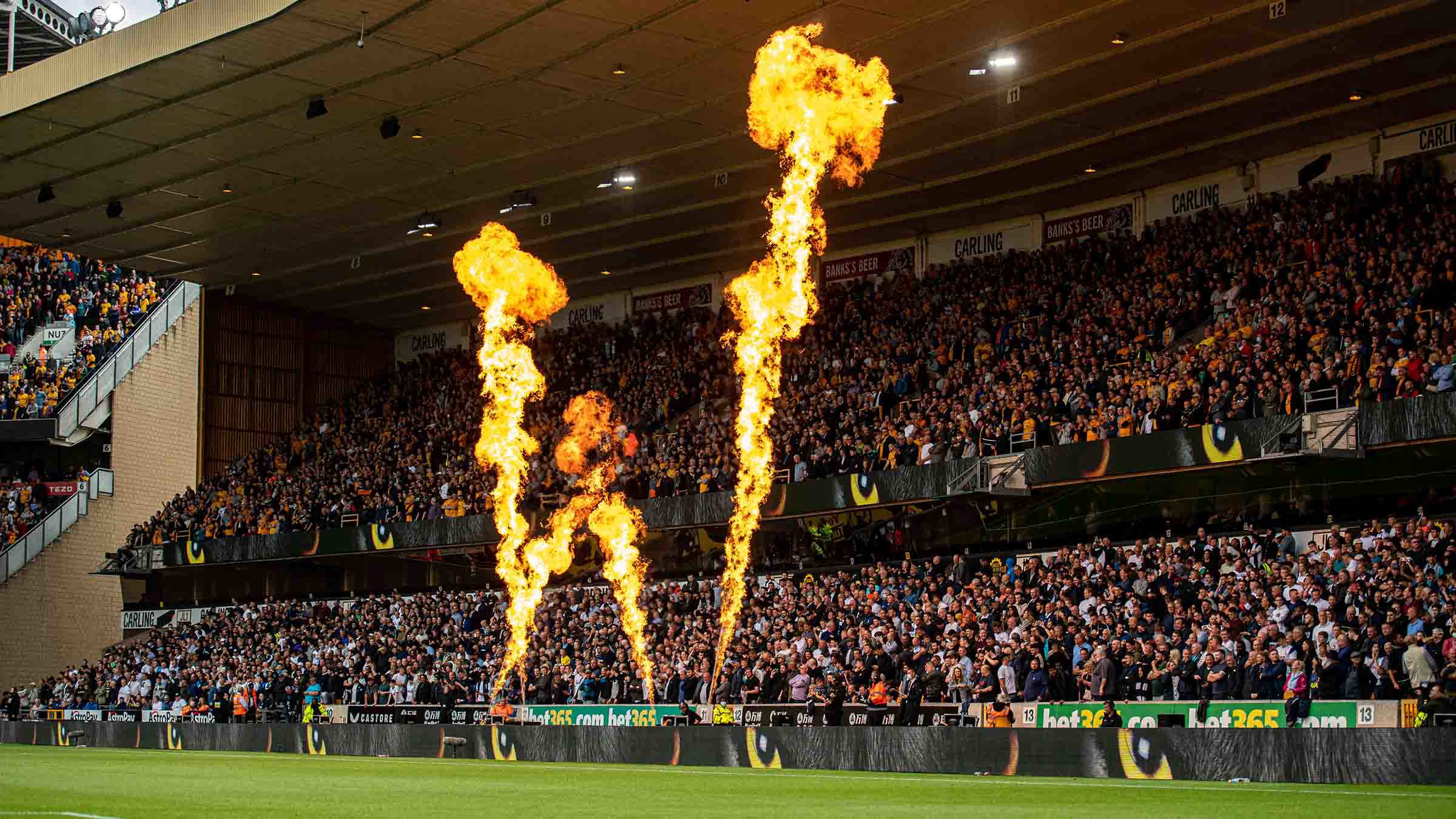 Matchday Guide | Wolves vs Brighton | Club | News | Wolverhampton ...