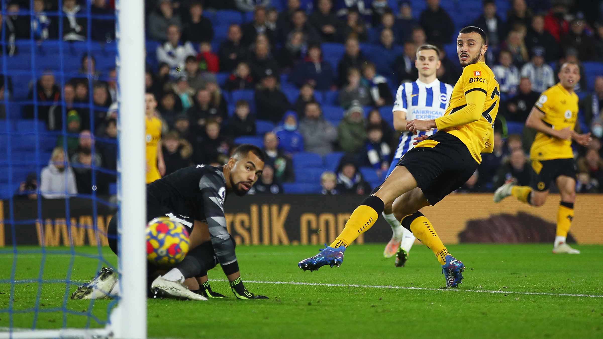 Talking Points | Wolves vs Brighton | Men's First-Team | News ...