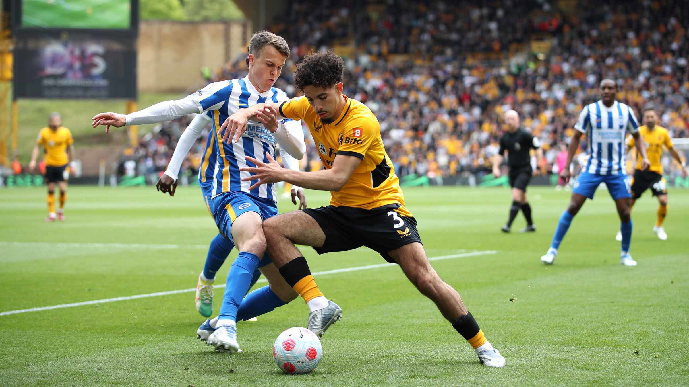 Gallery | Wolves vs Brighton | Men's First-Team | News | Wolverhampton ...