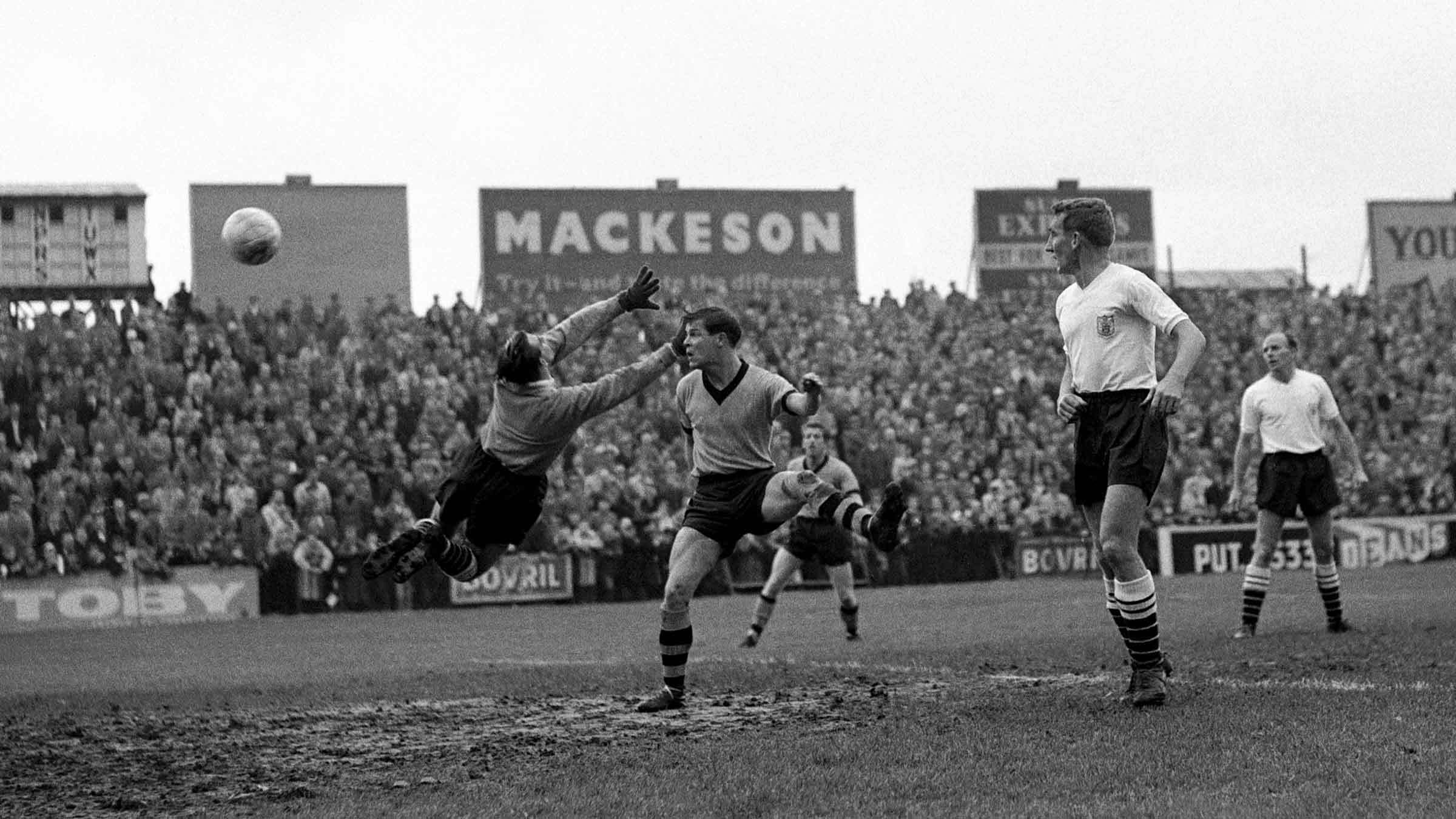 Wolves Cult Heroes | Part 3 | Features | News | Wolverhampton Wanderers FC