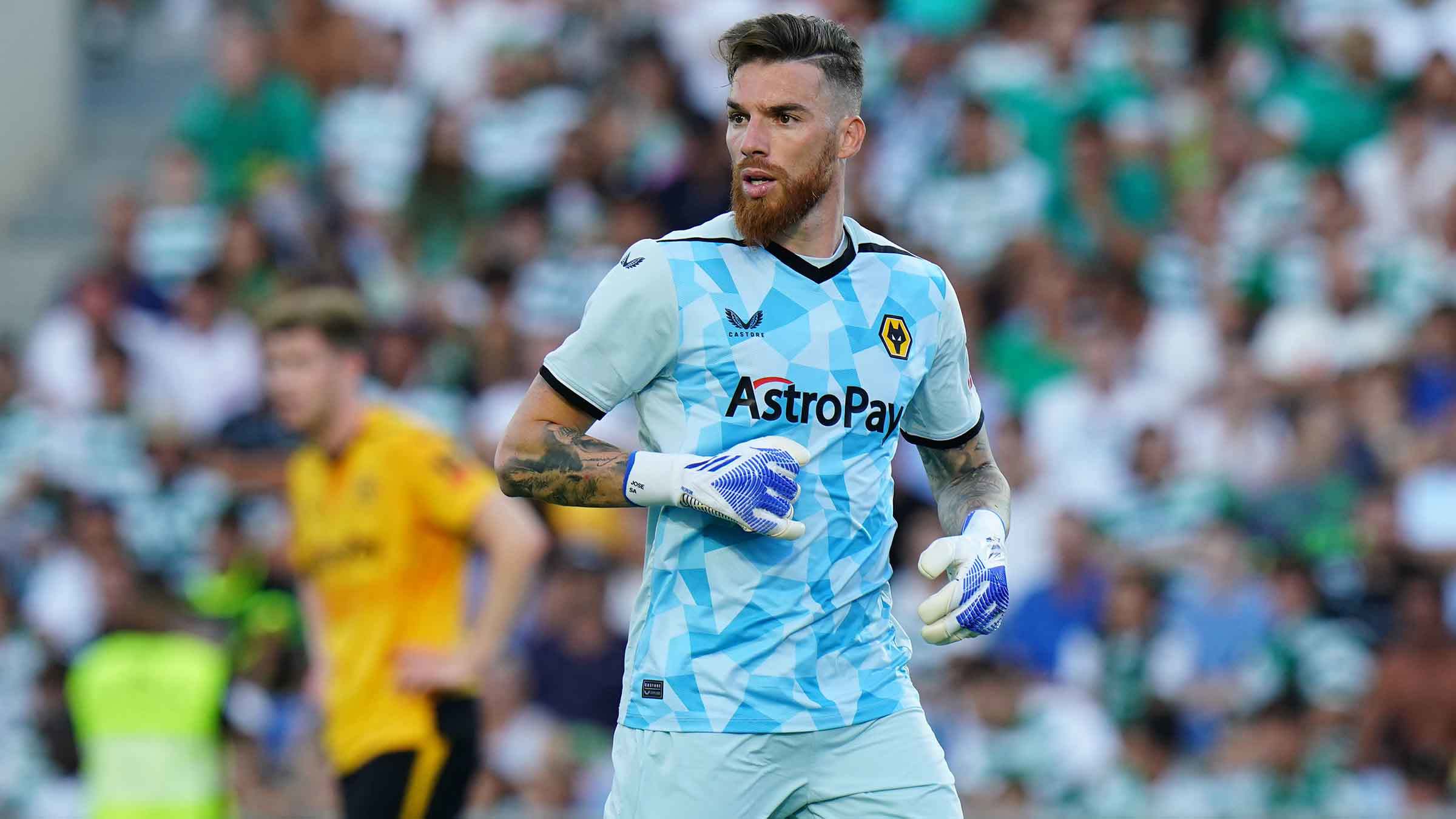 Sa | Wolves stopper 'feeling good' after injury recovery | Men's First ...