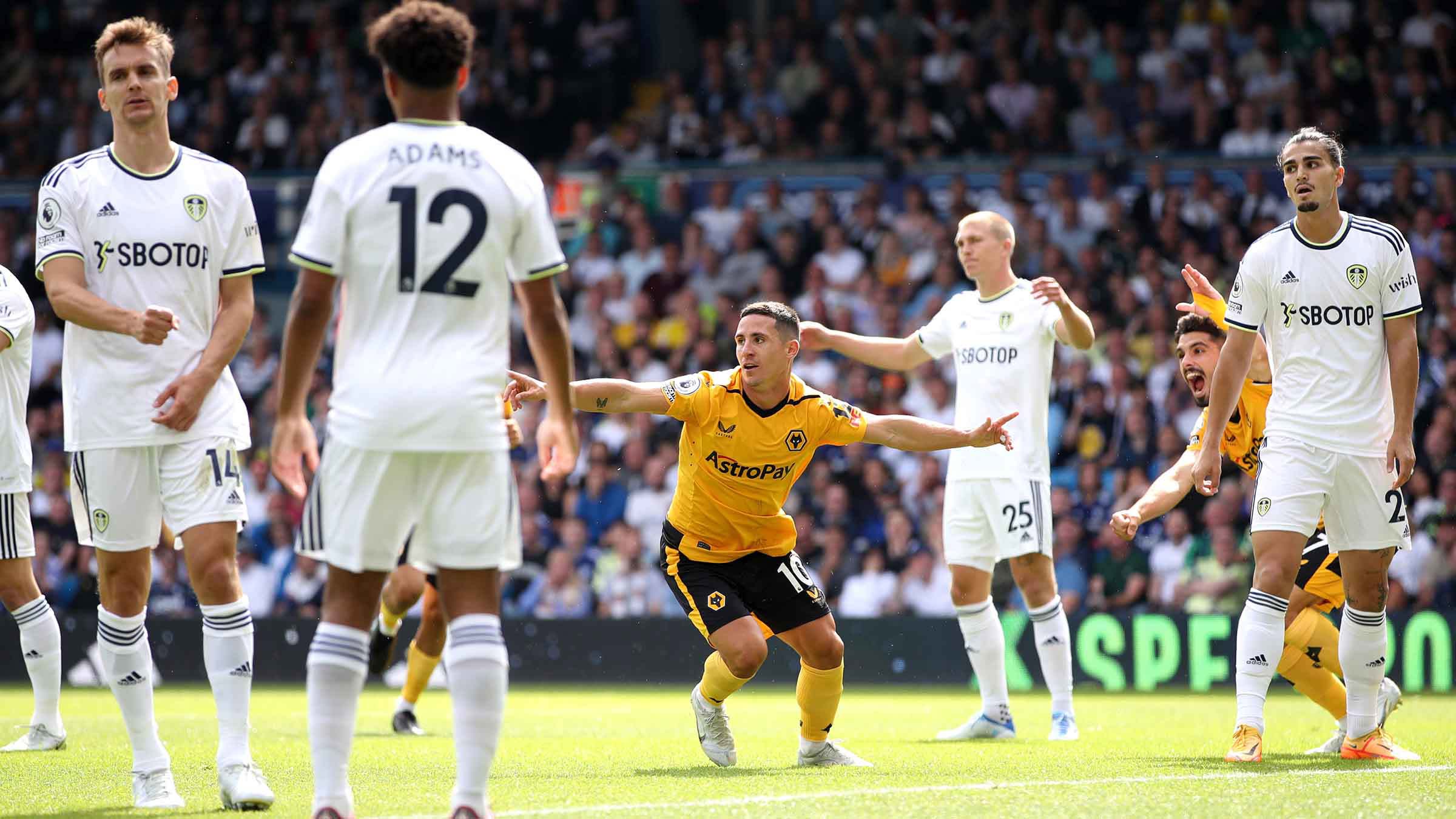 Talking Points | Wolves vs Fulham | Men's First-Team | News ...