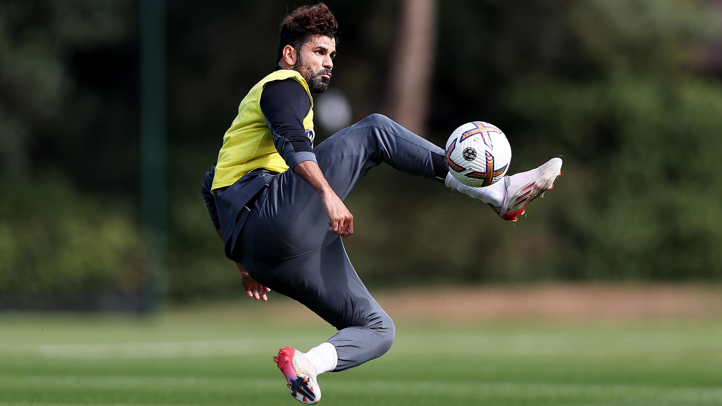 Gallery | Work continues at Compton Park | Men's First-Team | News ...