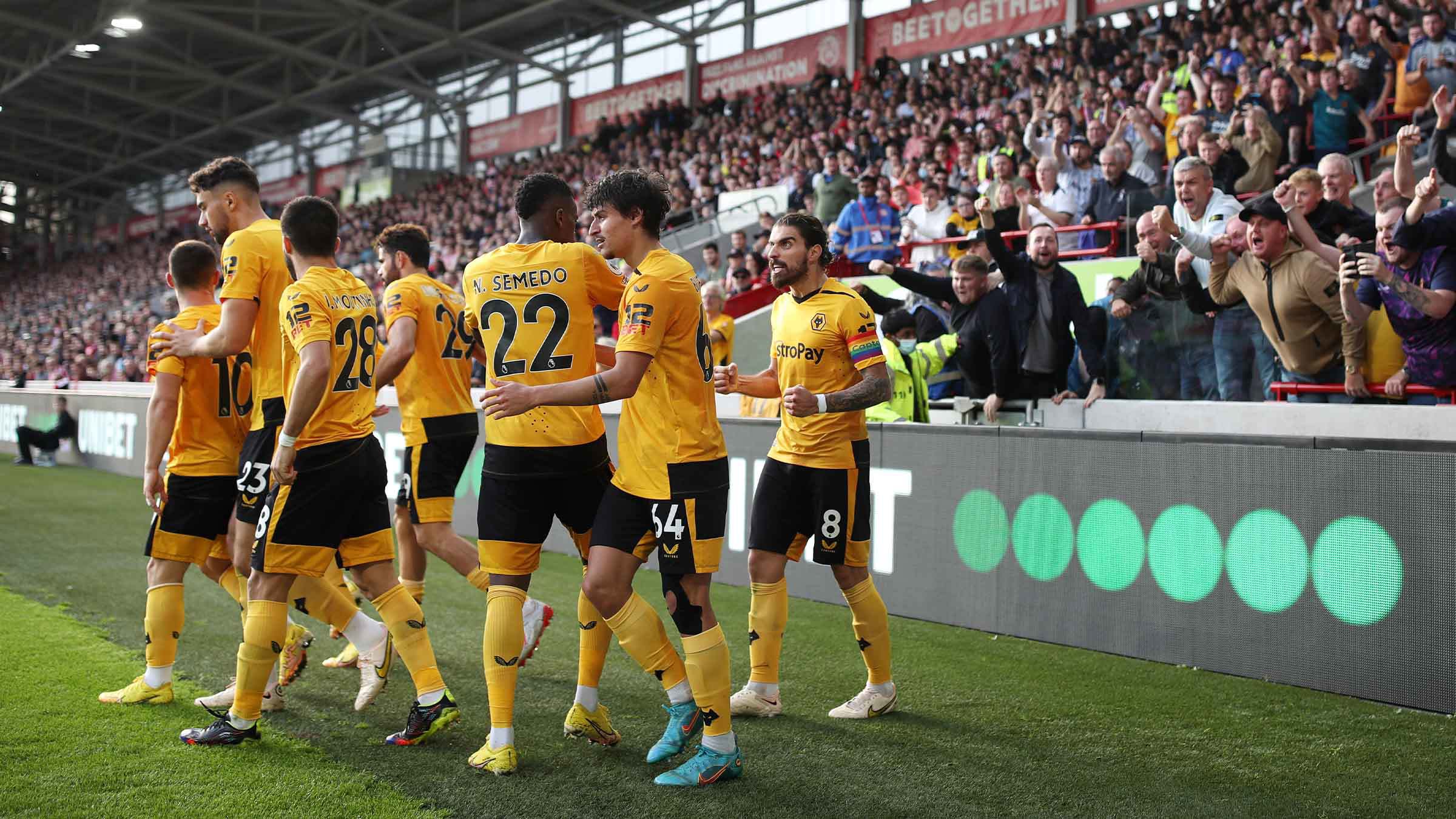 How to watch Wolves vs Brighton – live | Men's First-Team | News ...