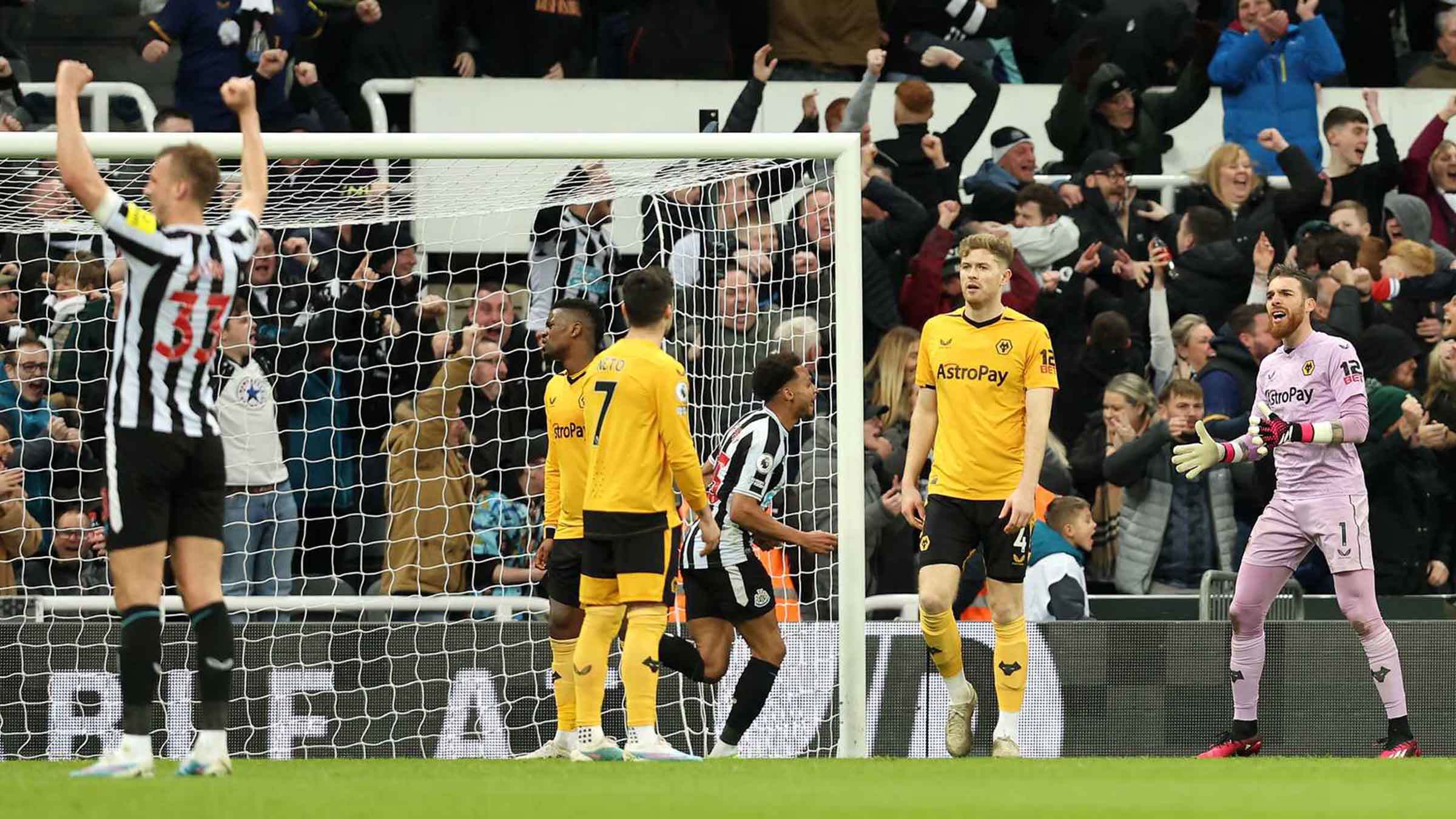 Gallery | Newcastle vs Wolves | Men's First-Team | News | Wolverhampton ...