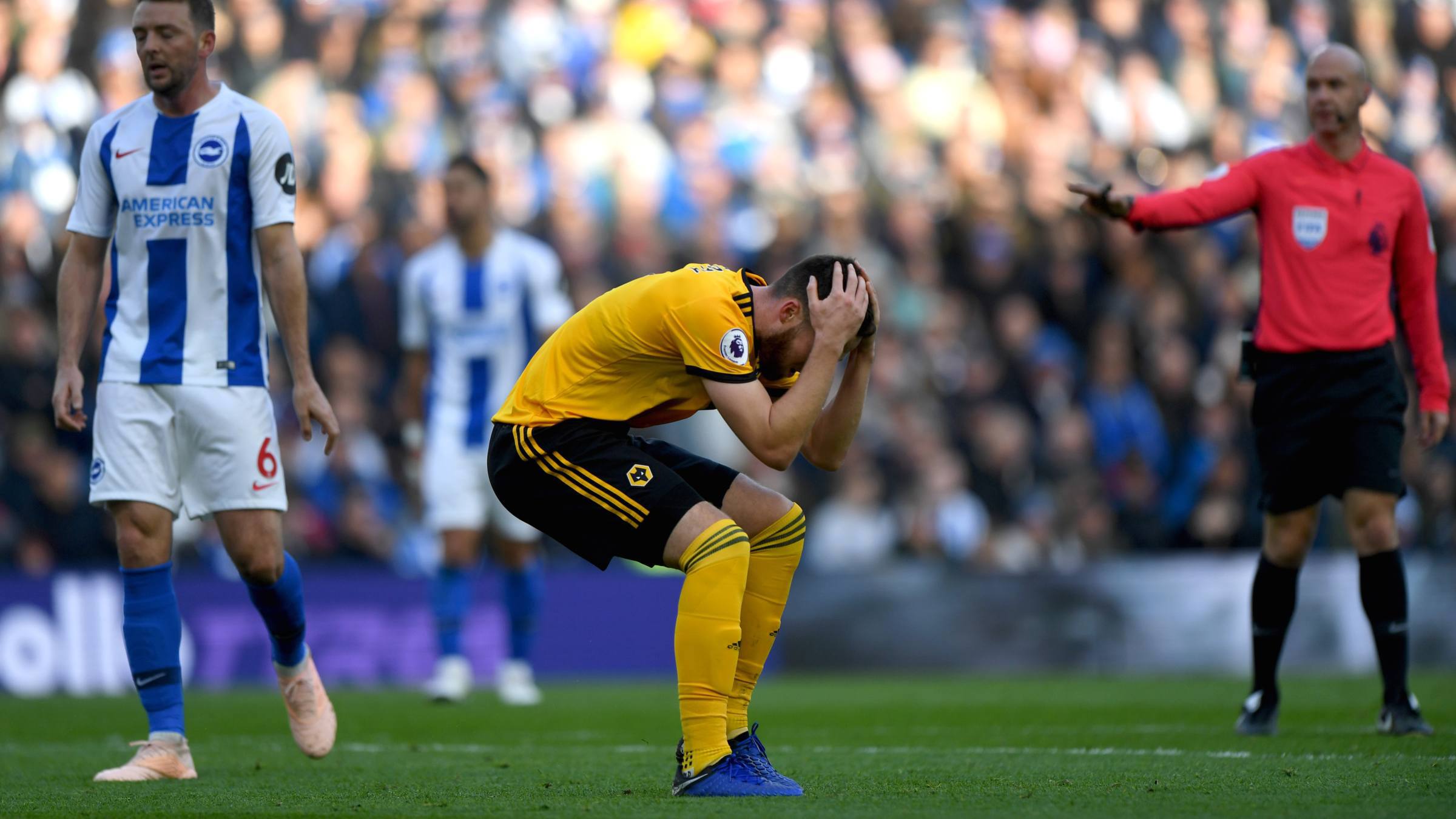 Brighton 1-0 Wolves | Gallery | Men's First-Team | News | Wolverhampton ...