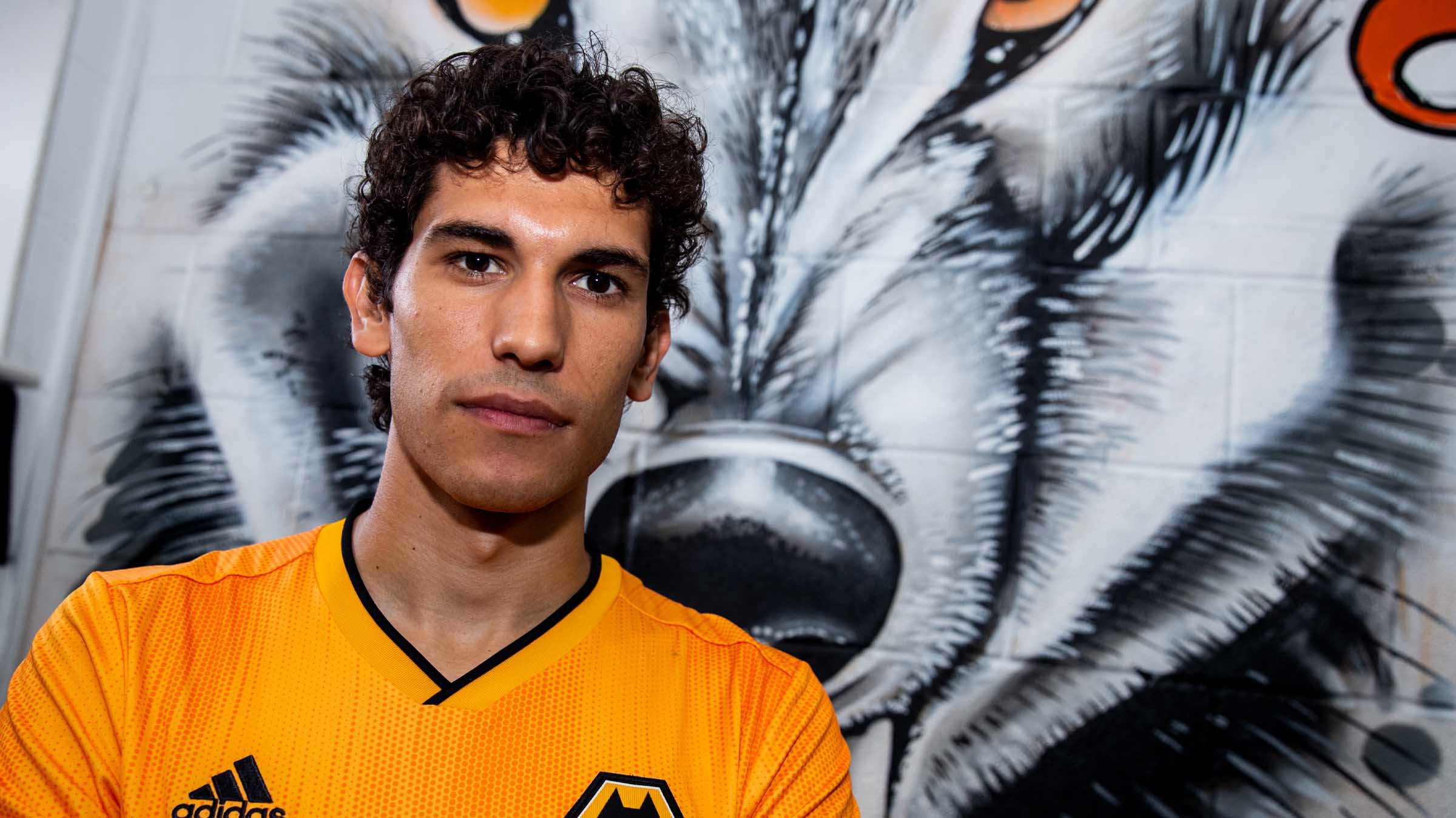 Vallejo excited by Wolves project | Men's First-Team | News ...