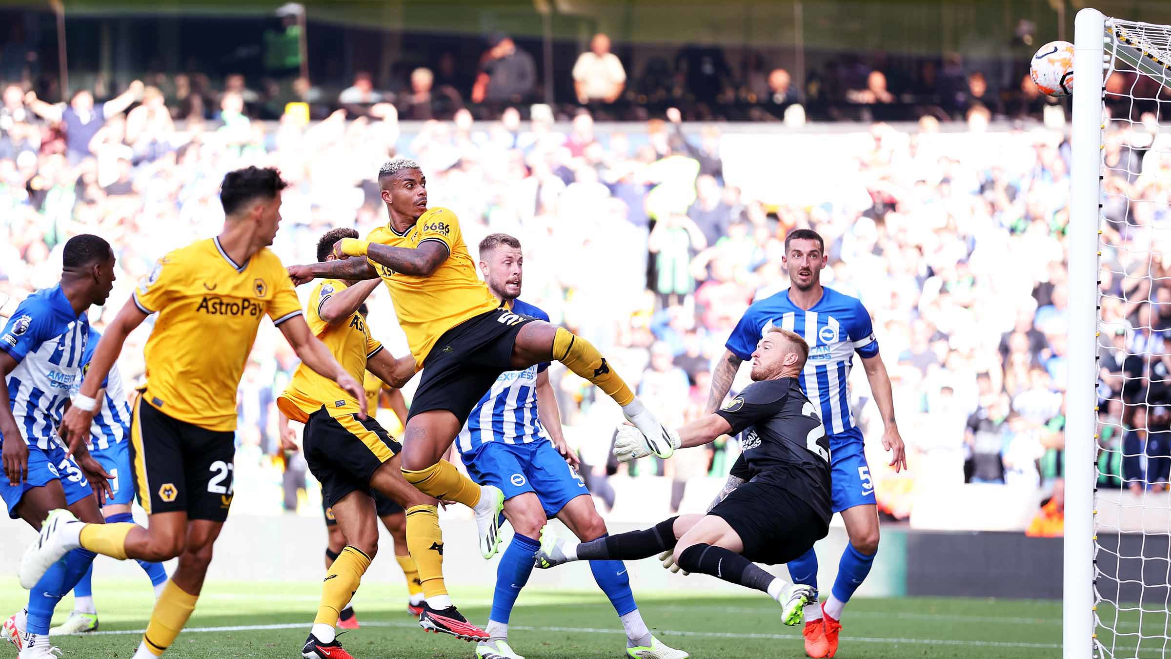 Wolves Express | Brighton, Derby and Everton reaction | Club | News ...