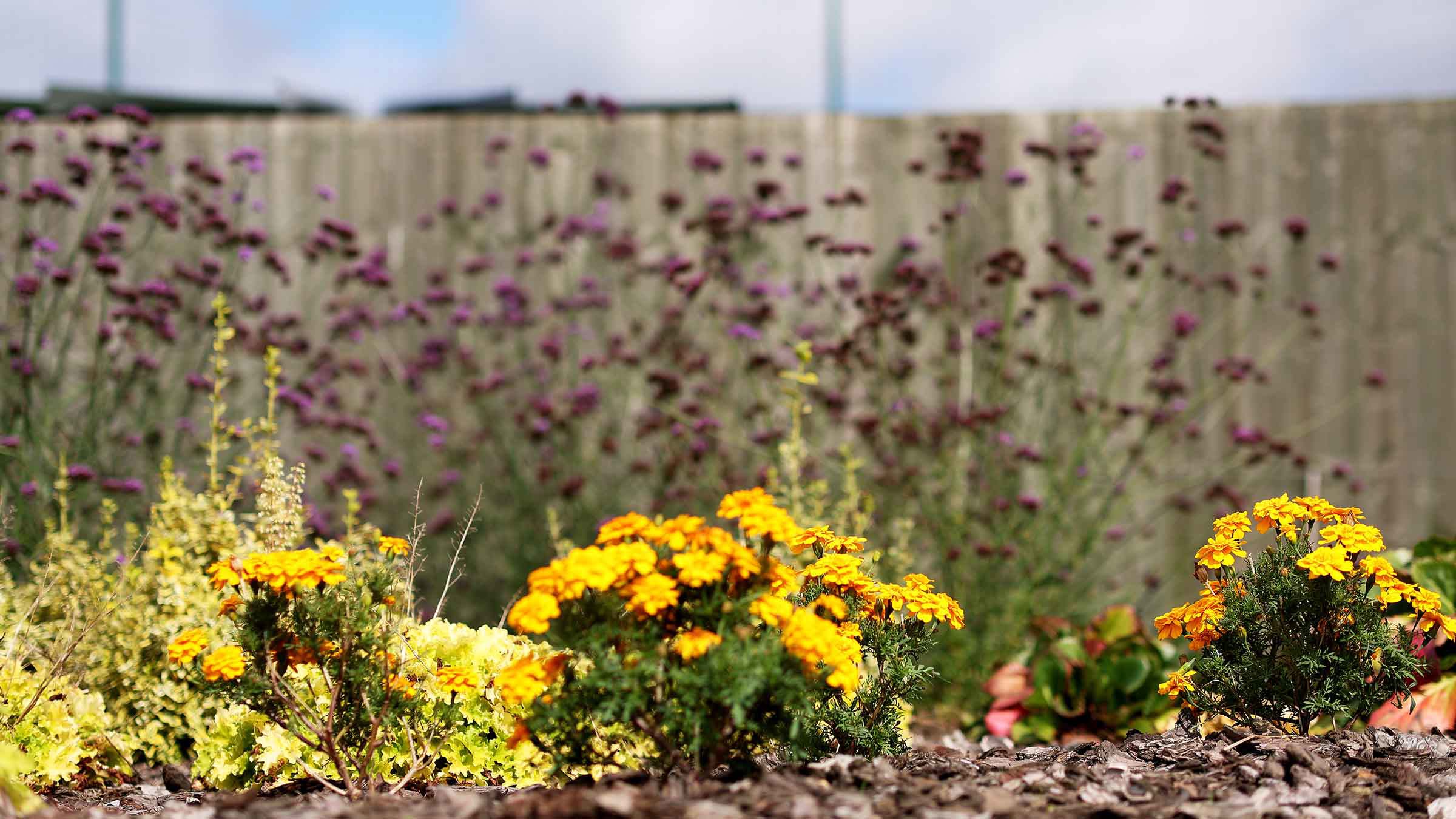 One Pack, One Planet | Sustainability improvements at Compton Park ...