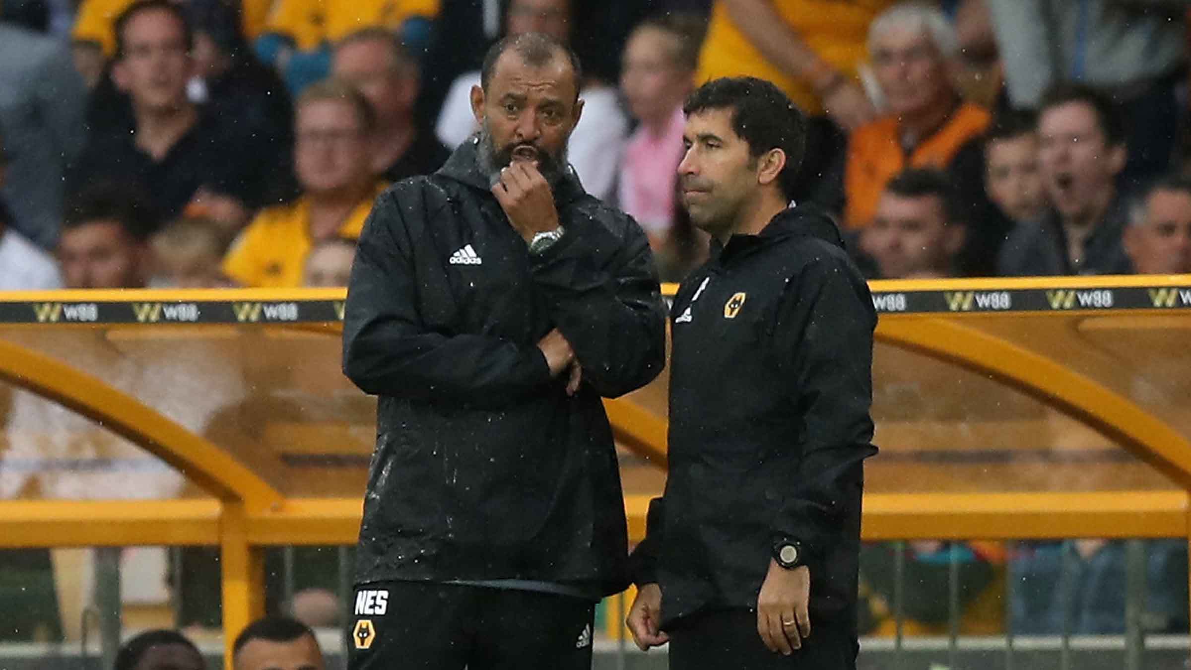 Wolves Weekly | Rui Pedro Silva: Inside the Portuguese revolution ...